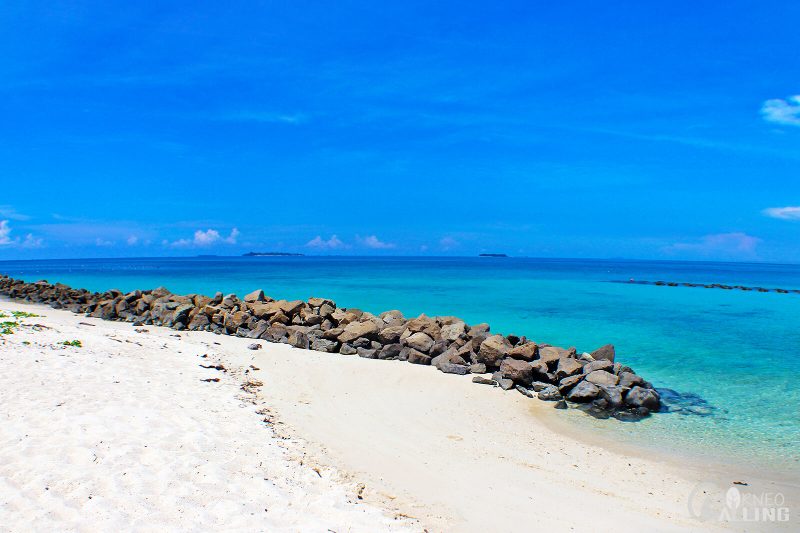 Exciting 2D1N Adventure at Selingan Turtle Island + Sepilok
