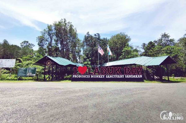 Labuk Bay Proboscis Monkey Sanctuary Day Trip | Borneo Calling