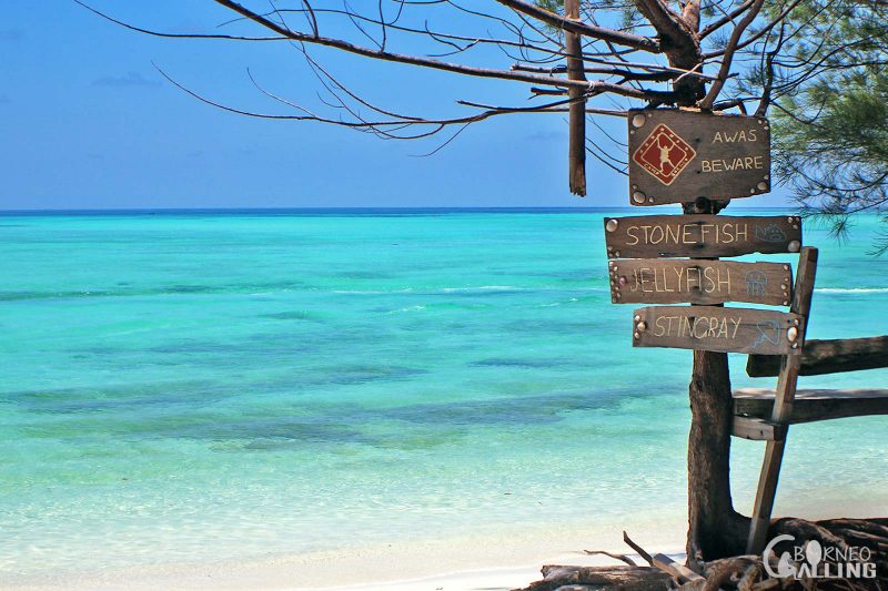 Mantanani Island Day Trip | Borneo Calling Tour & Travel Sdn Bhd