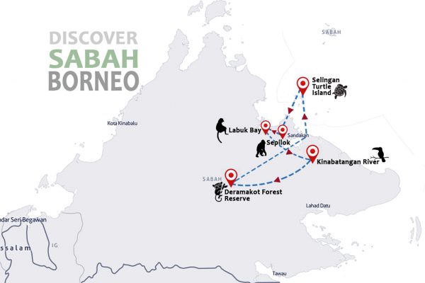 8D7N Discover Sabah Borneo - Absolute Wildlife | Borneo Calling Tour ...