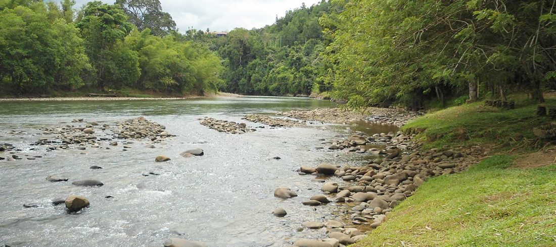 KIULU WHITE WATER RAFTING (GRADE I-II) | Borneo Calling