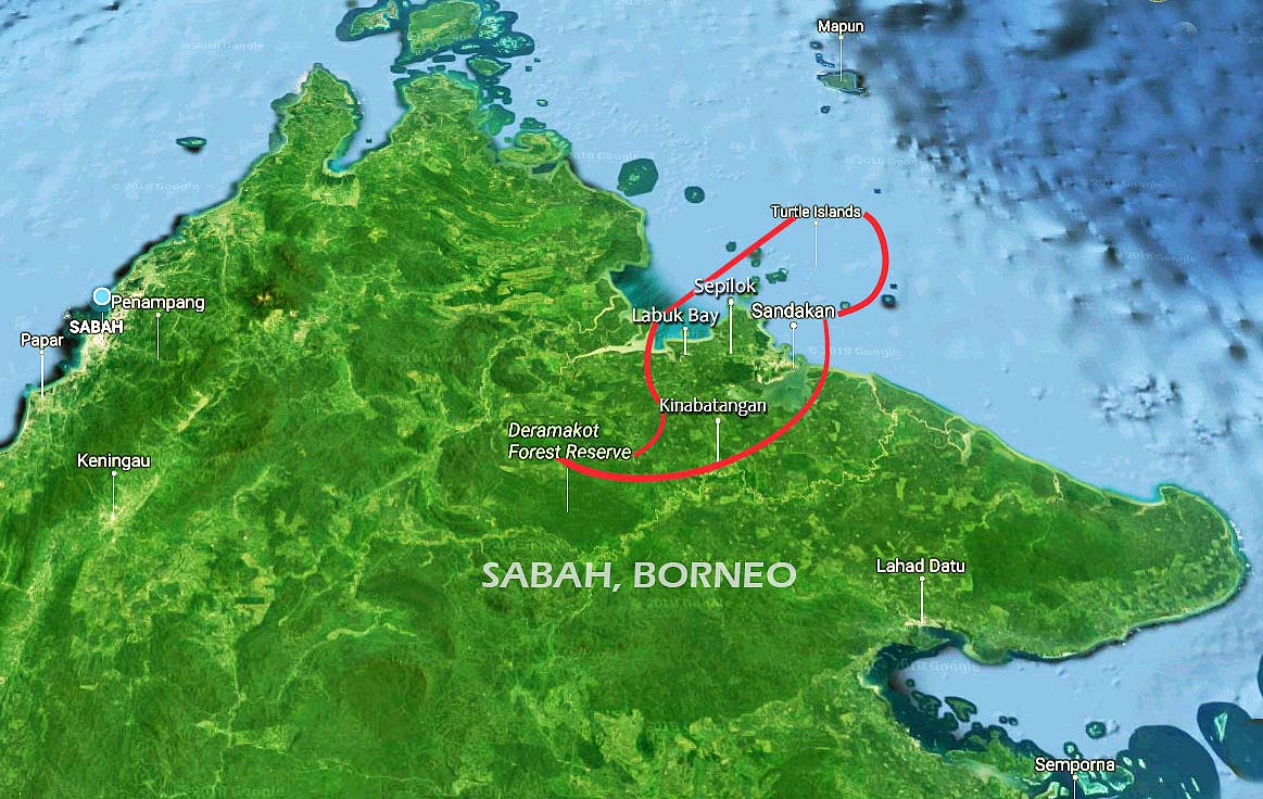 8D7N Discover Sabah Borneo - Absolute Wildlife | Borneo Calling