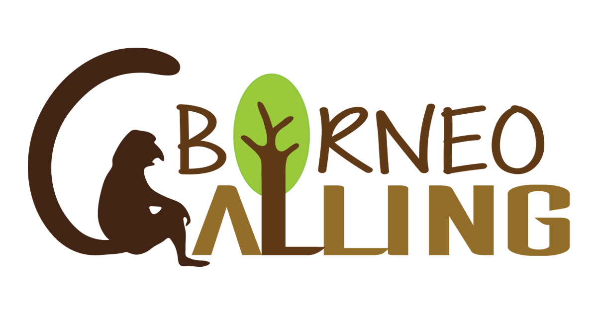 Borneo Tours and Travel Packages | Borneo Tour Operator | Borneocalling